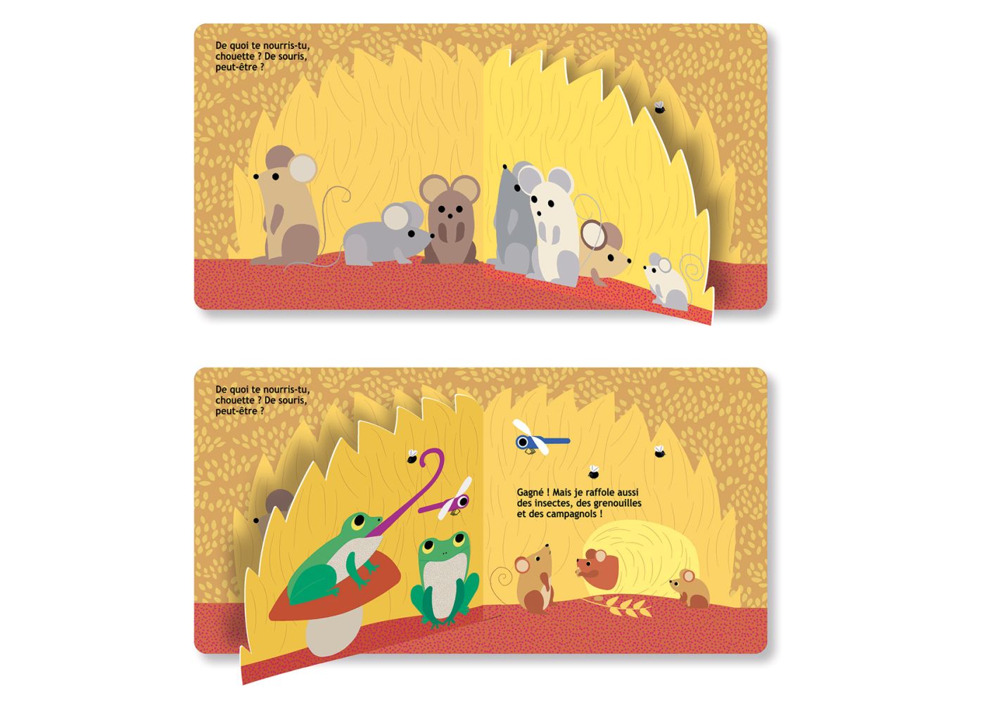 Chouette - Éditions Sarbacane