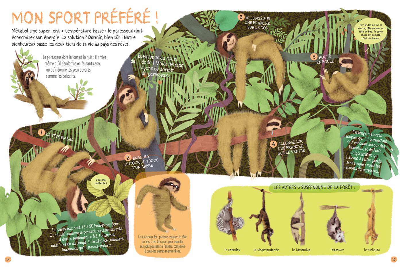 Paresseux le bienheureux - Éditions Sarbacane